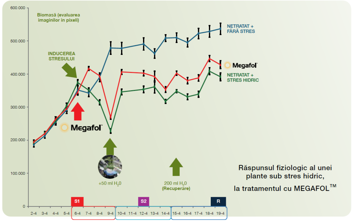 Megafol - Biostimulant | Syngenta